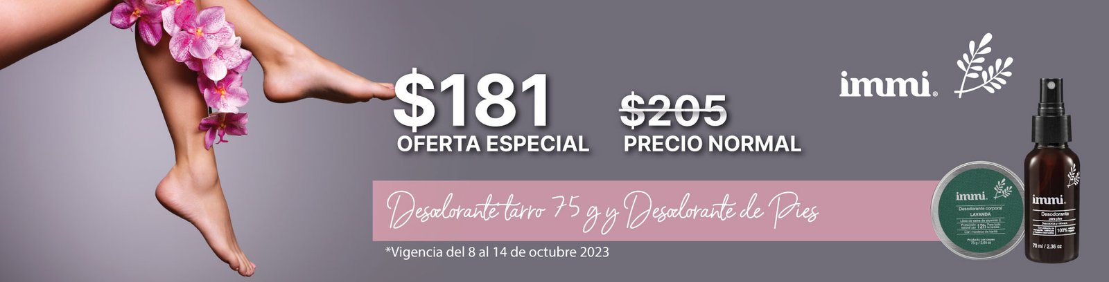 banner-immi-mx-paquete-2 – immi